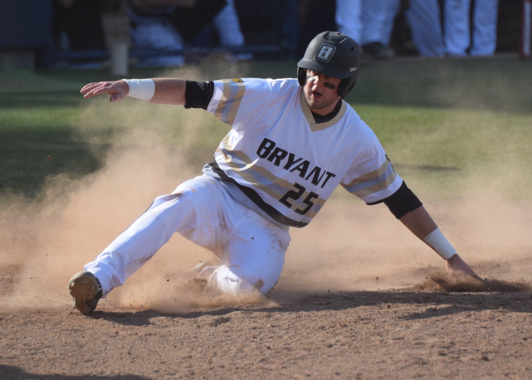 Charlottesville Regional Breakdown • D1Baseball